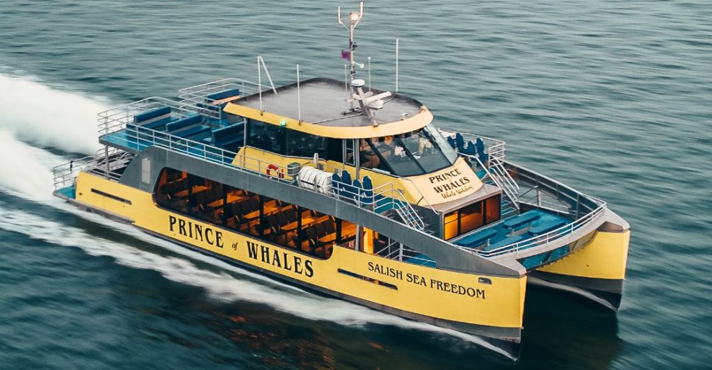 FLY-WHALES-FLY (CATAMARAN) - Prince of Whales