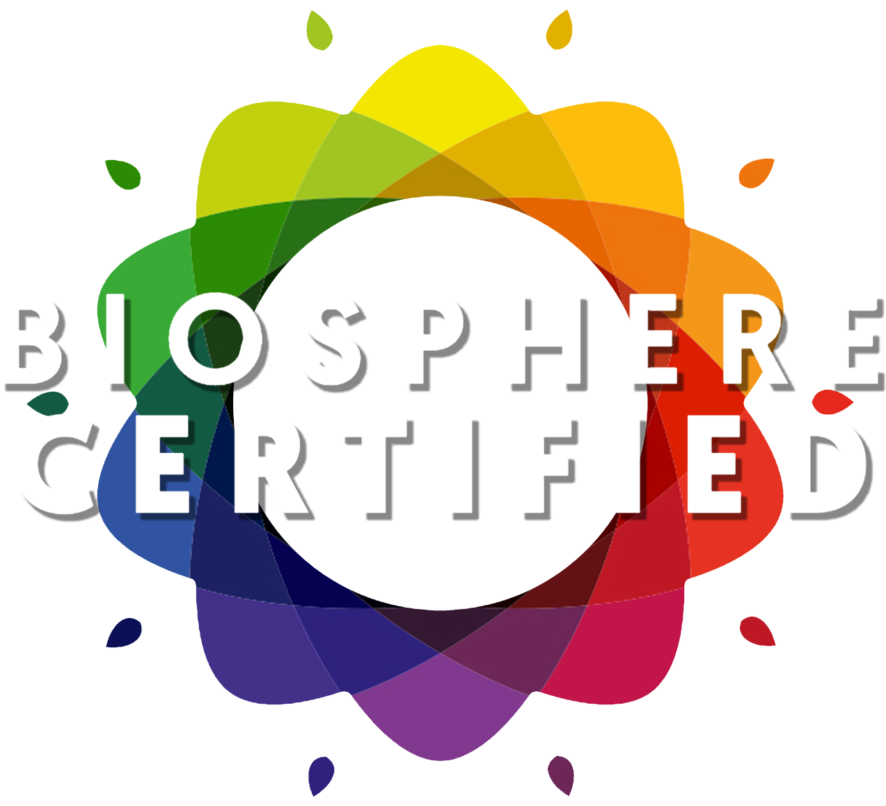 Whale Watching Telegraph Cove - Prince of Whales Wildlife Tours