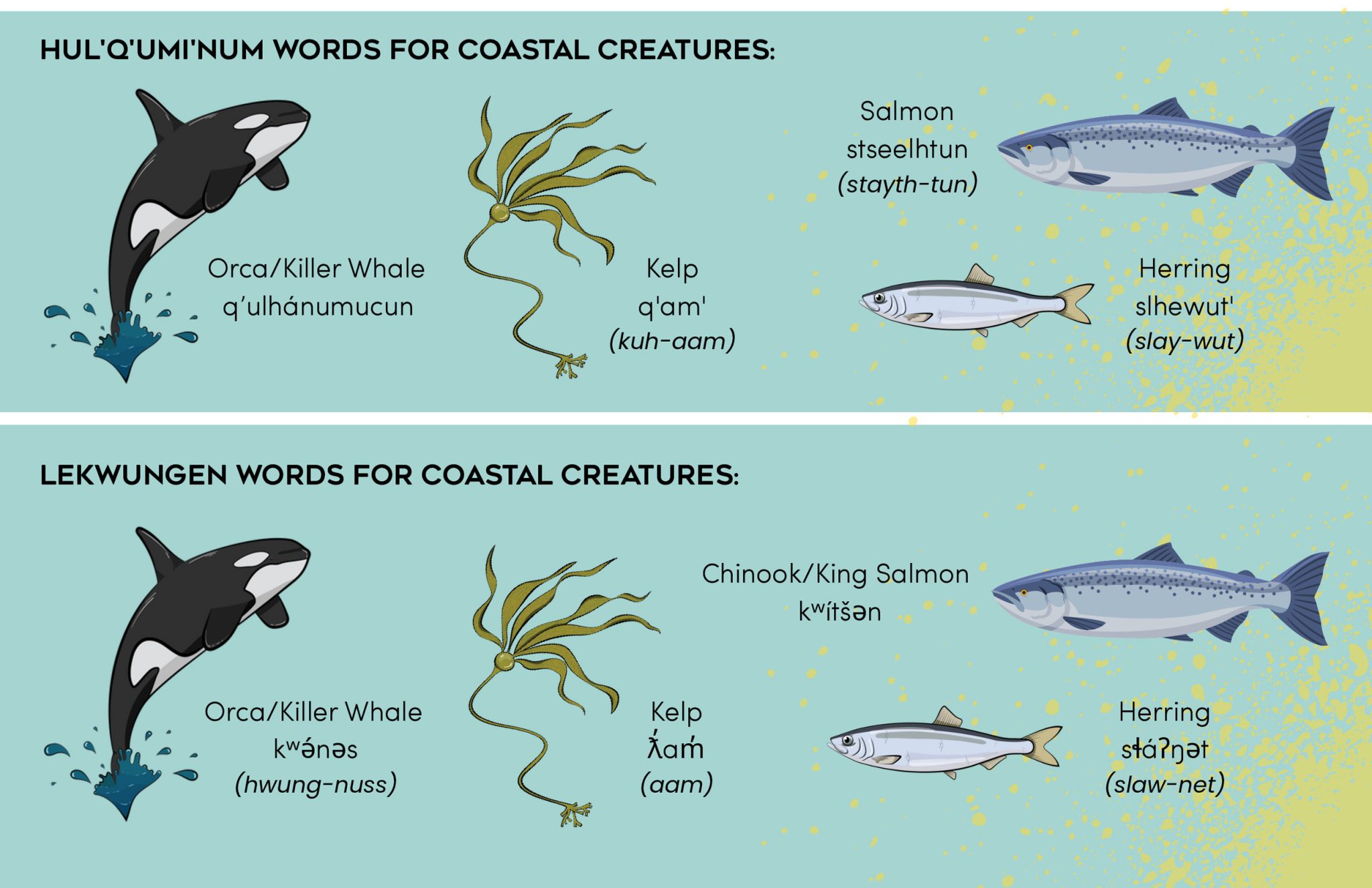 Pacific Salmon & the Salish Sea: Protecting a Vital Ecosystem - Prince ...