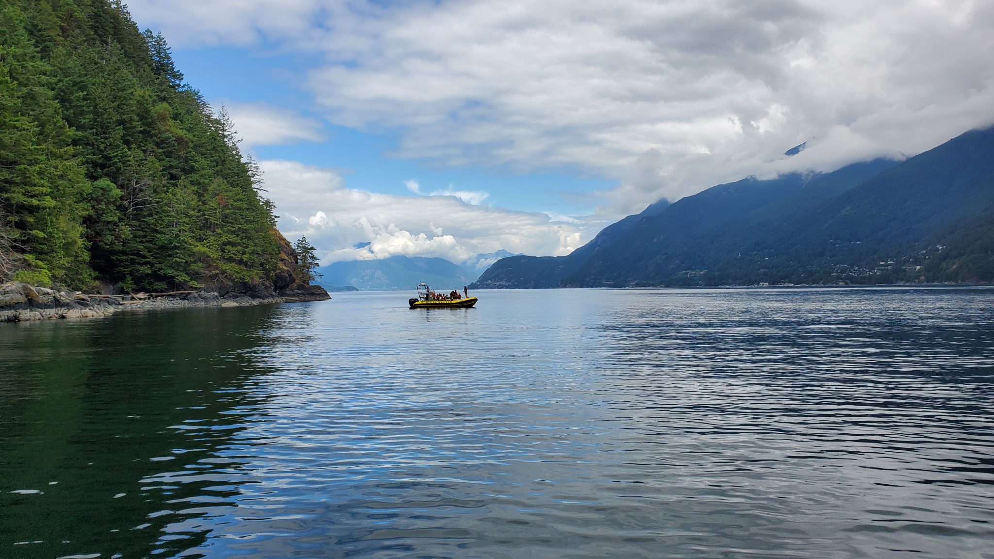 What Makes the Salish Sea Unique? - Prince of Whales